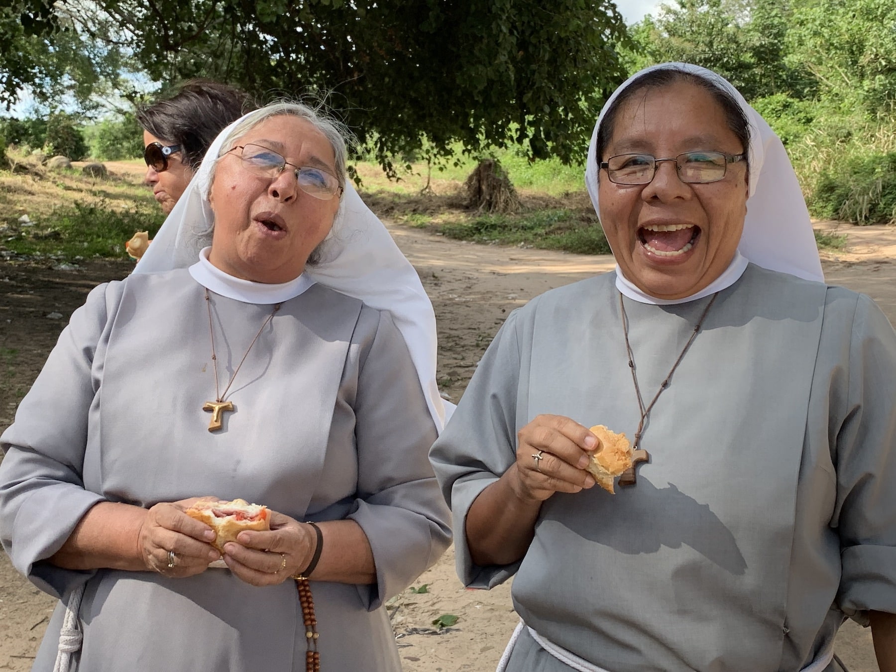 Our Congregation - Tertiary Sisters of Saint Francis